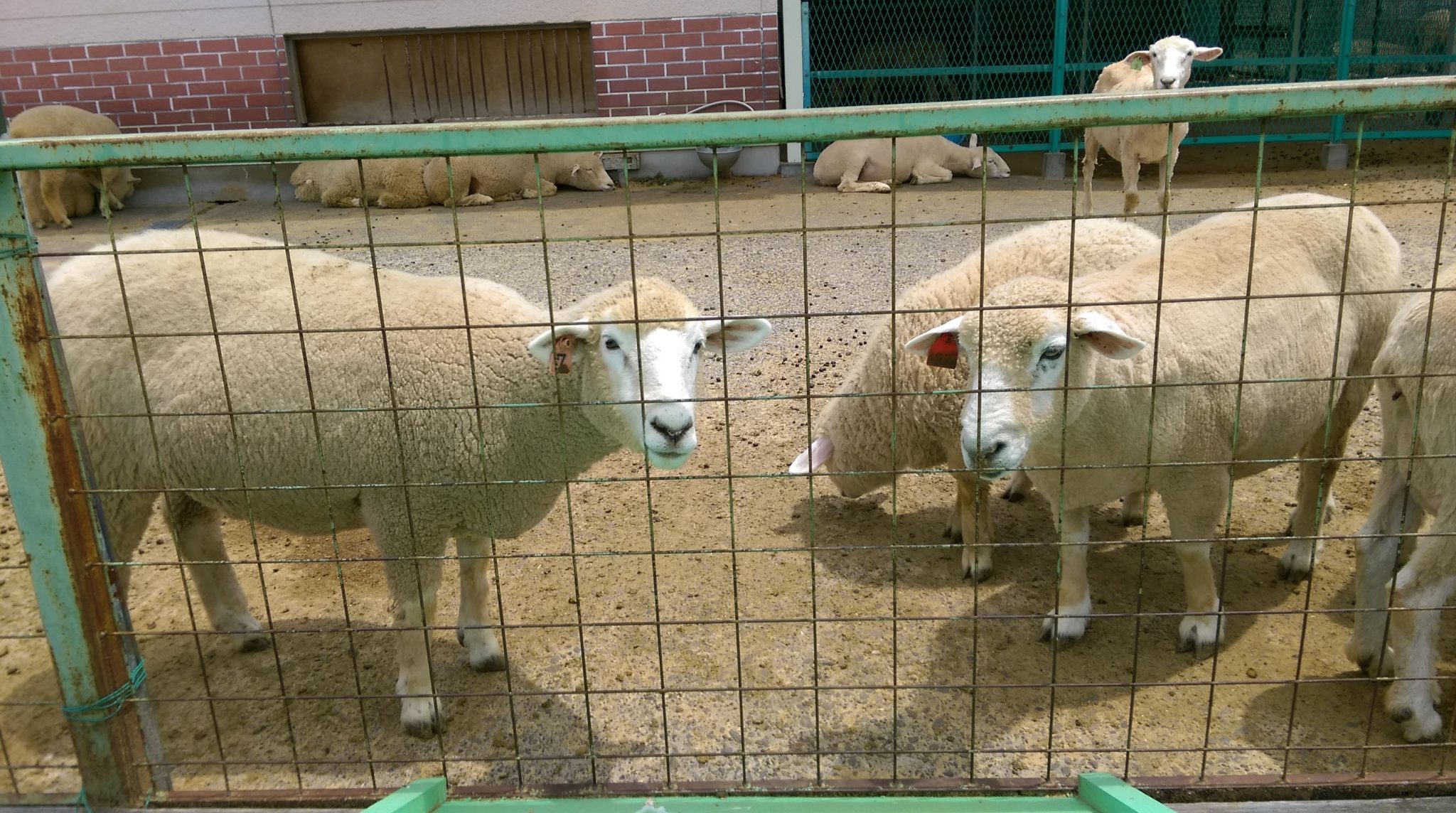 【GitHub】とても便利！GitHub Projectsを使ったタスク管理 - DX-Accelerator データ人材常駐支援サービス | UNCOVER TRUTH